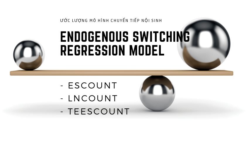 Ước lượng mô hình chuyển tiếp nội sinh - Vietlod
